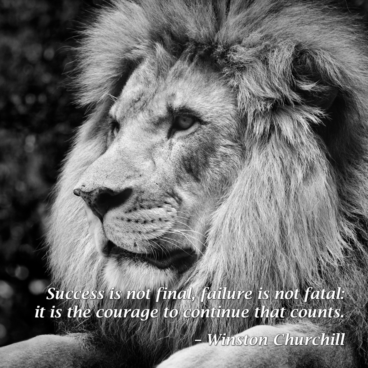 Success is not final, failure is not fatal: it is the courage to ...